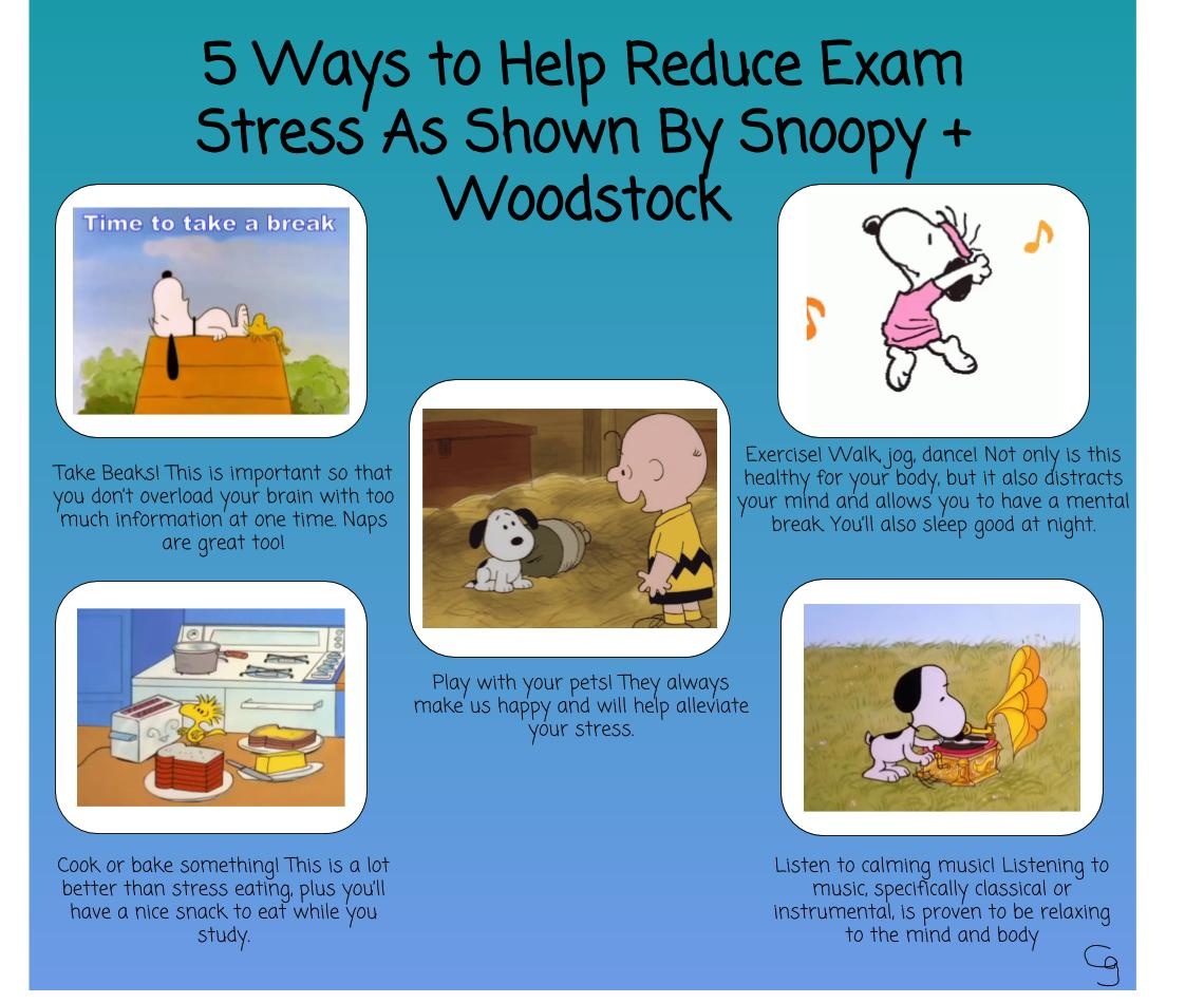 12 Testing Tips for the End of the Year - RaiseMe Community